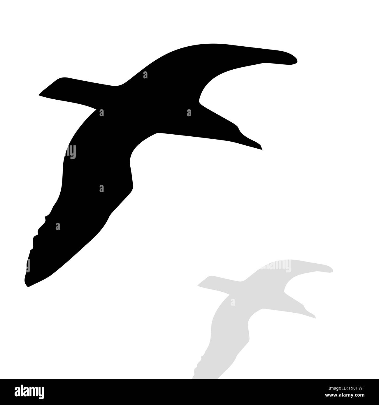 Silhouette white seagull soaring Stock Vector Images - Alamy