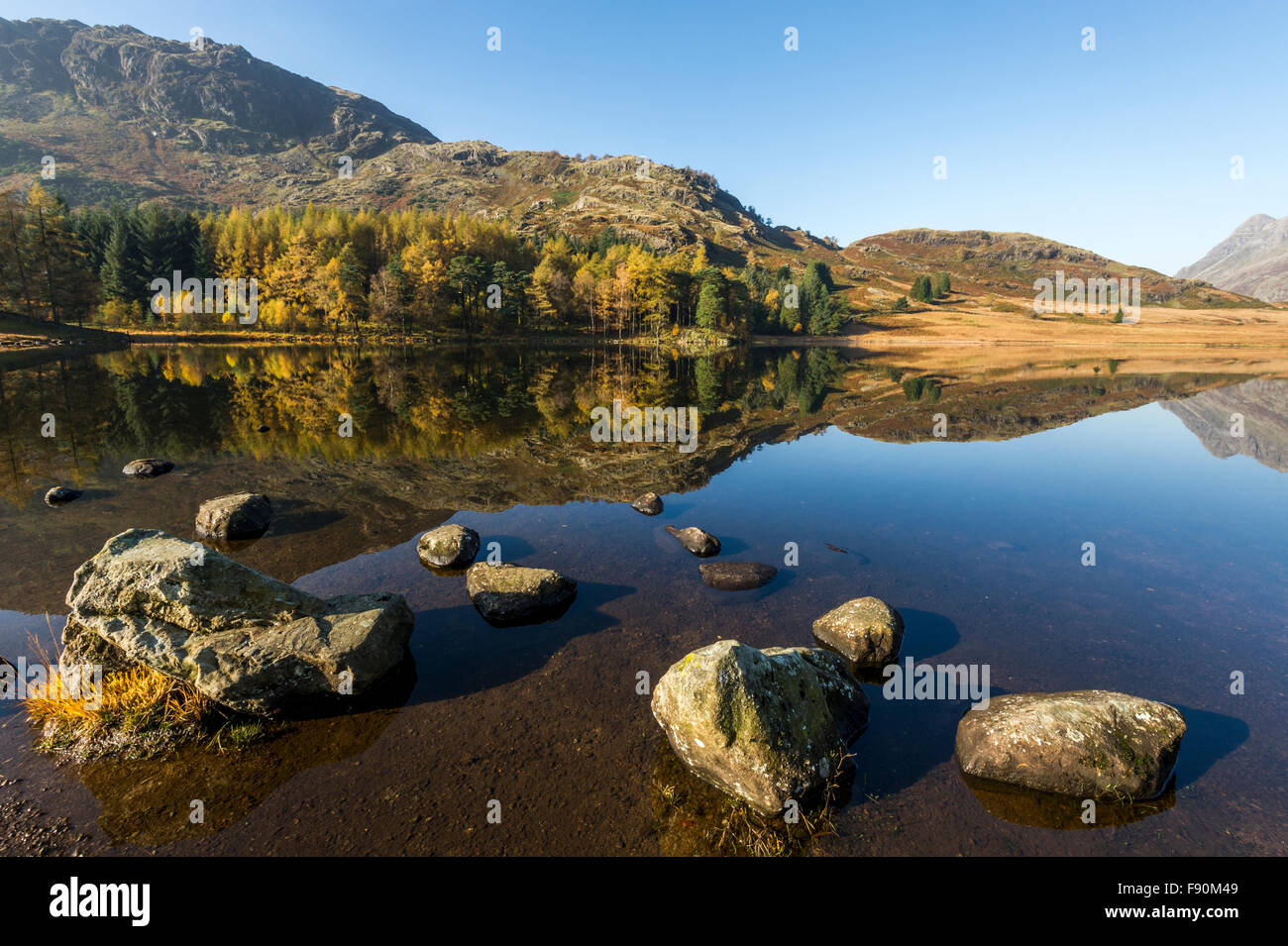 Blea Tarn reflections Stock Photo - Alamy