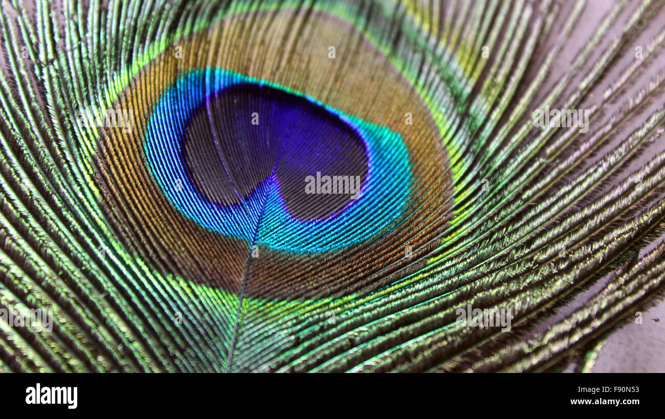 Colors of Nature Stock Photo - Alamy