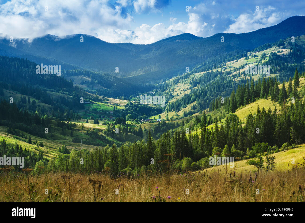Carpathian mountain landscape Stock Photo - Alamy