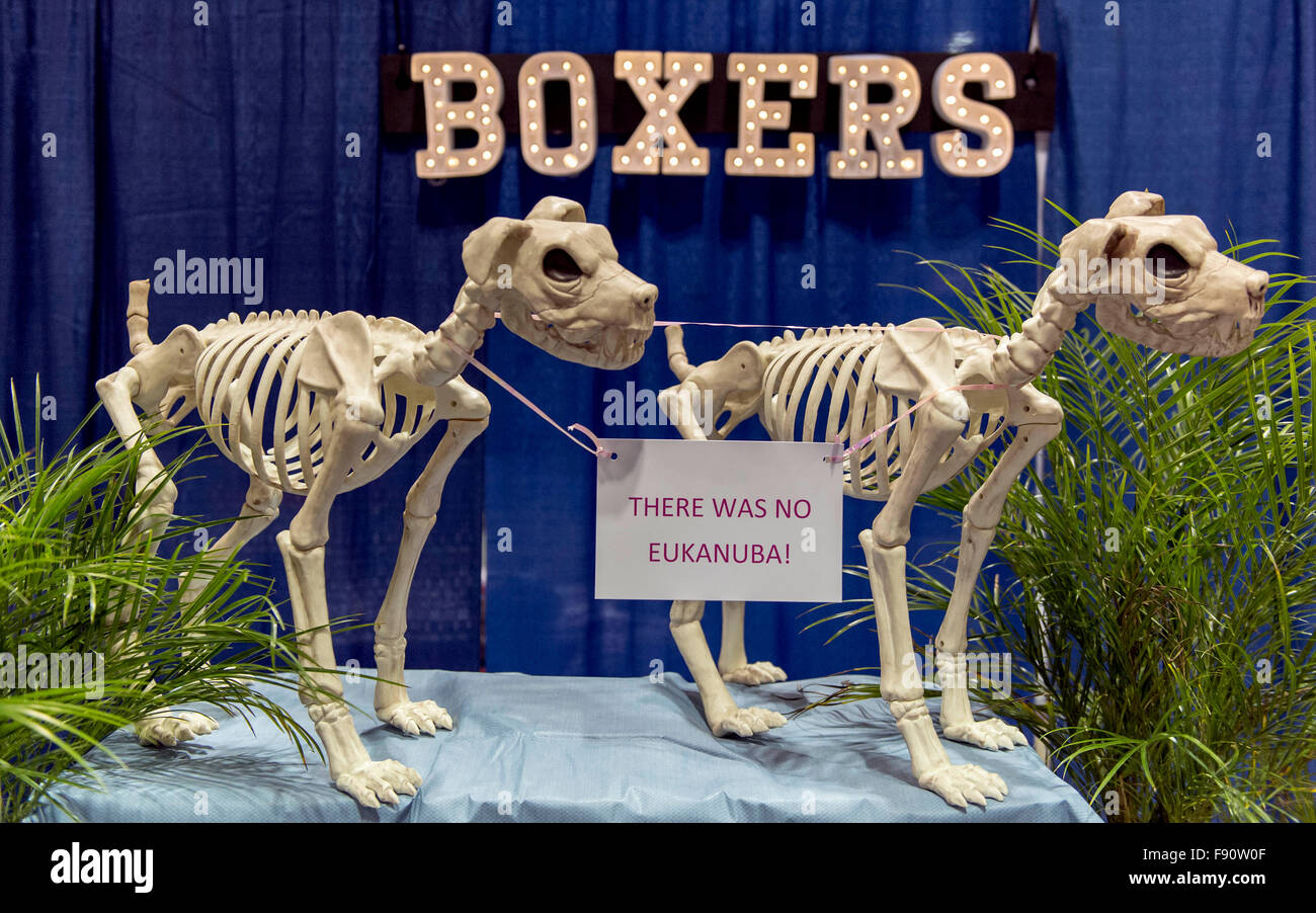 Orlando, Florida, USA. 12th Dec, 2015. The Boxer display at ''Meet The ...