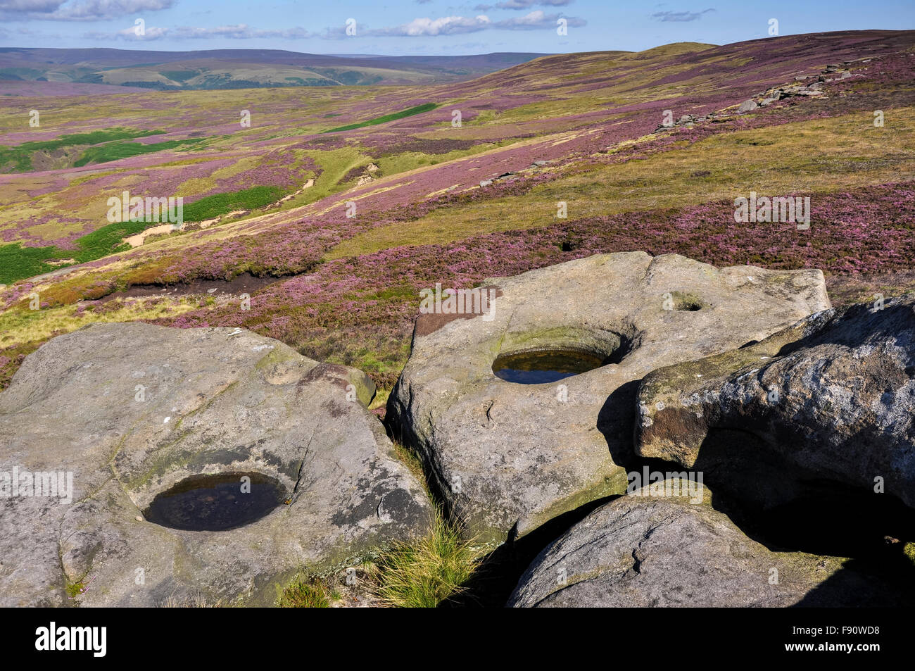 Gritstone rocks and moorland covered in purple flowering heather. A ...