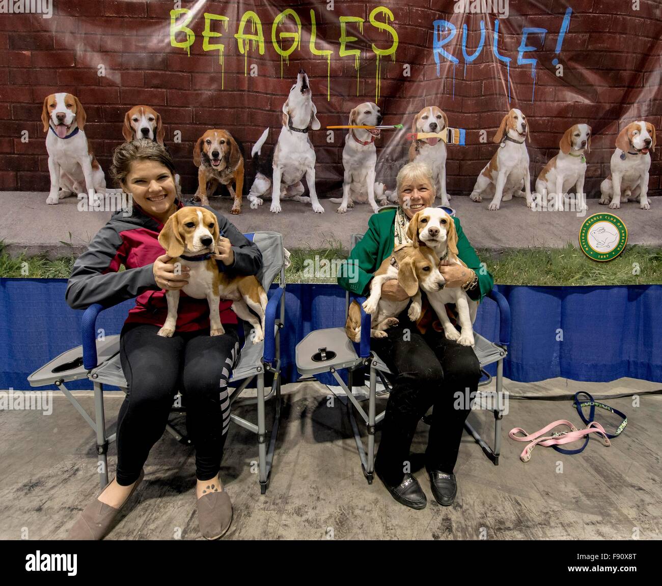 Orlando, Florida, USA. 12th Dec, 2015. The Beagle display at ''Meet The ...