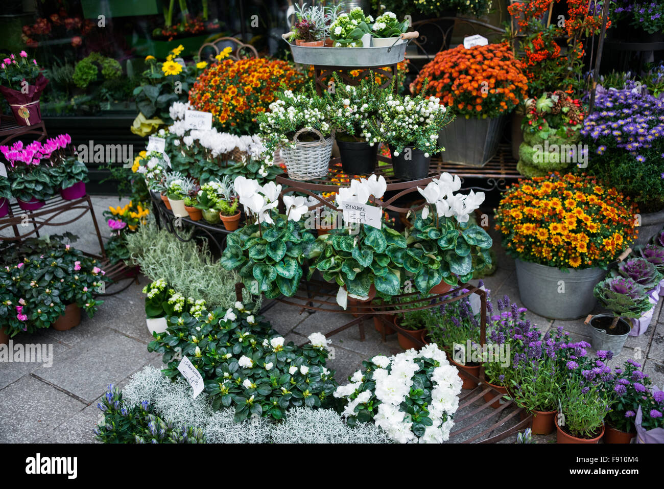Street flower shop with colourful flowers Stock Photo - Alamy