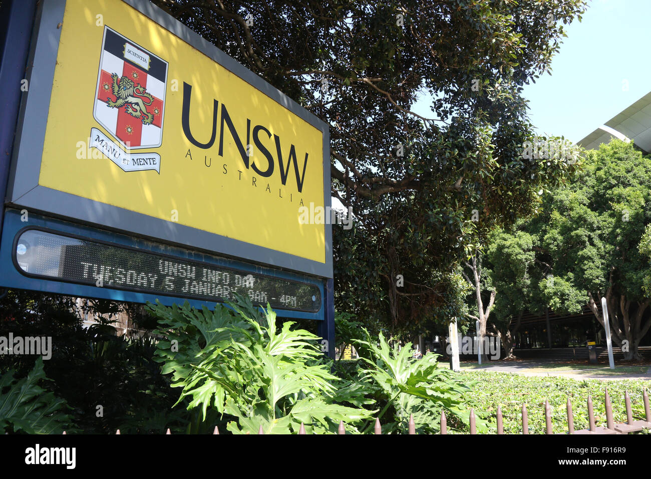 University Of Nsw