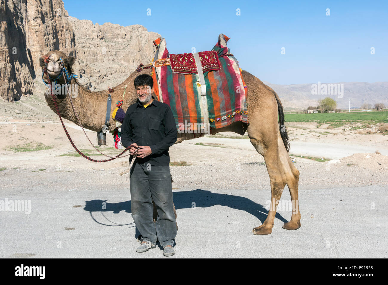 Camel handler hi-res stock photography and images - Alamy