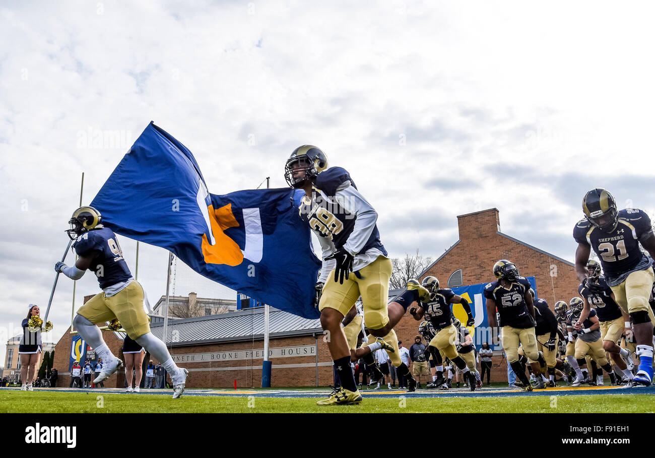 Shepherd rams hi-res stock photography and images - Alamy