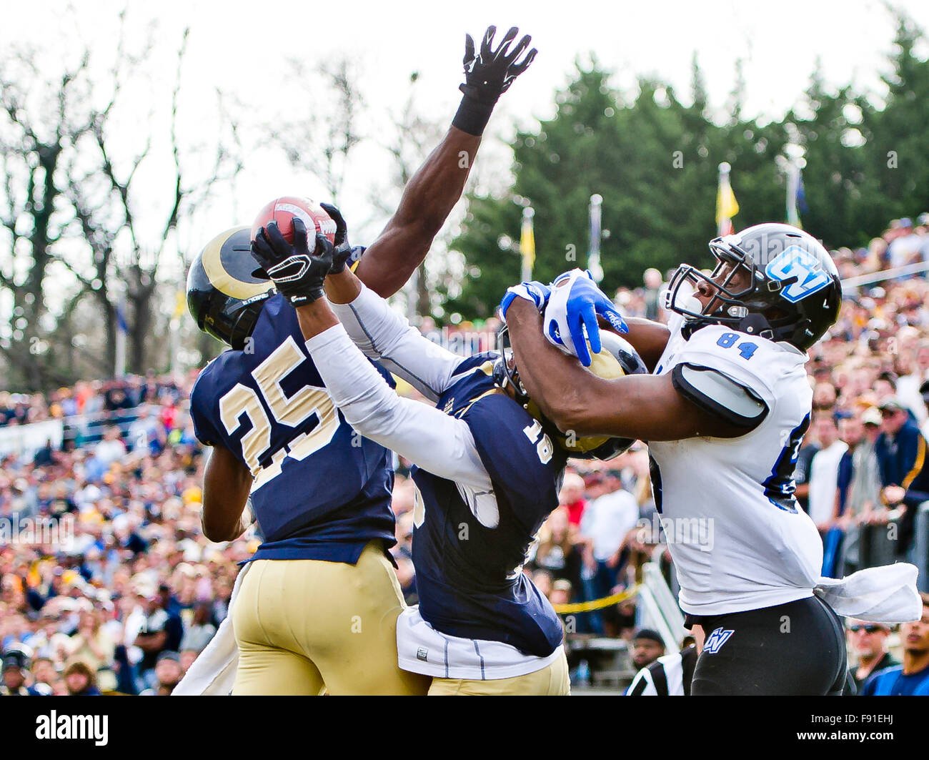 Adam shepherd hi-res stock photography and images - Alamy
