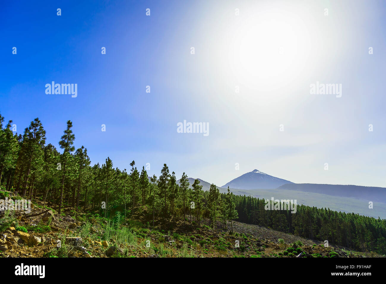 Teide Volcano Landscape in National Park on Tenerife Island in Spain at ...