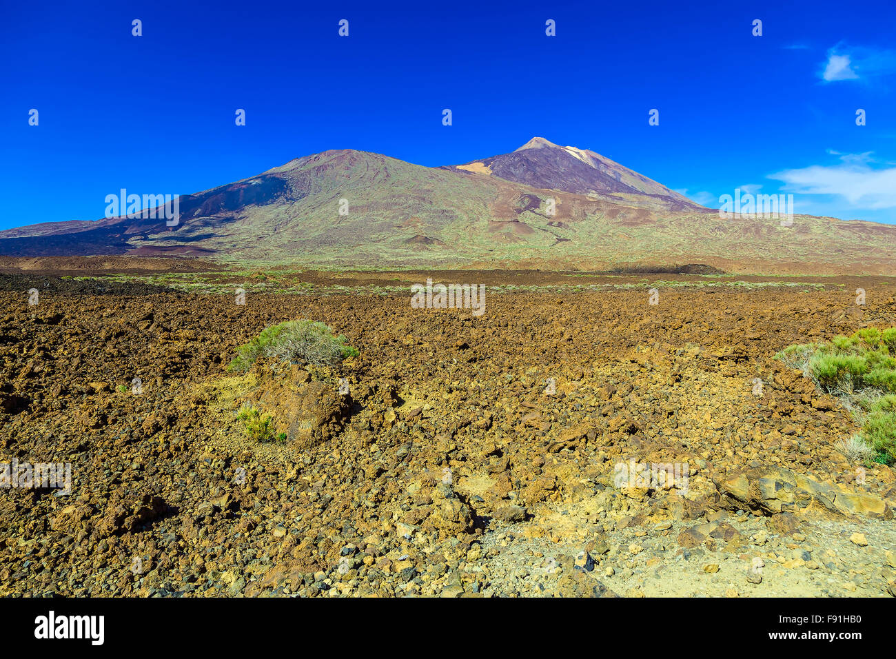 Teide Volcano Landscape in National Park on Tenerife Canary Island in ...