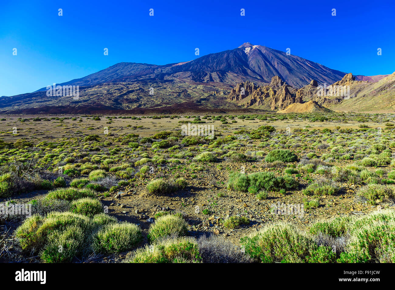 Teide Volcano Landscape in National Park on Tenerife Island in Spain at ...