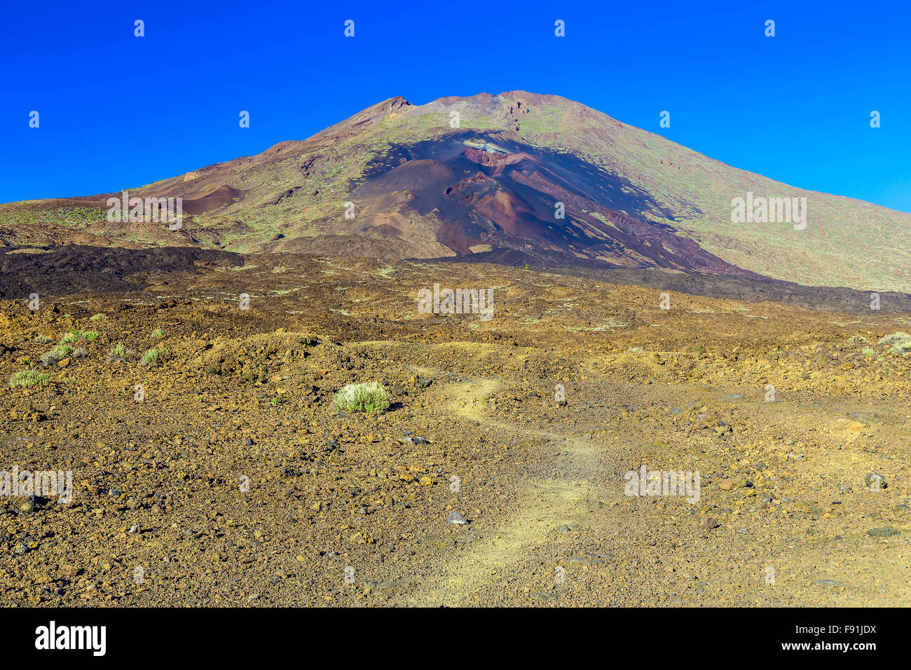 Teide Volcano Landscape in National Park on Tenerife Canary Island in ...