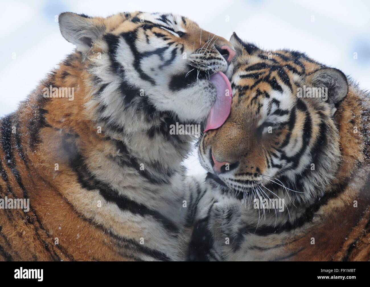 Worlds largest facility hi-res stock photography and images - Alamy