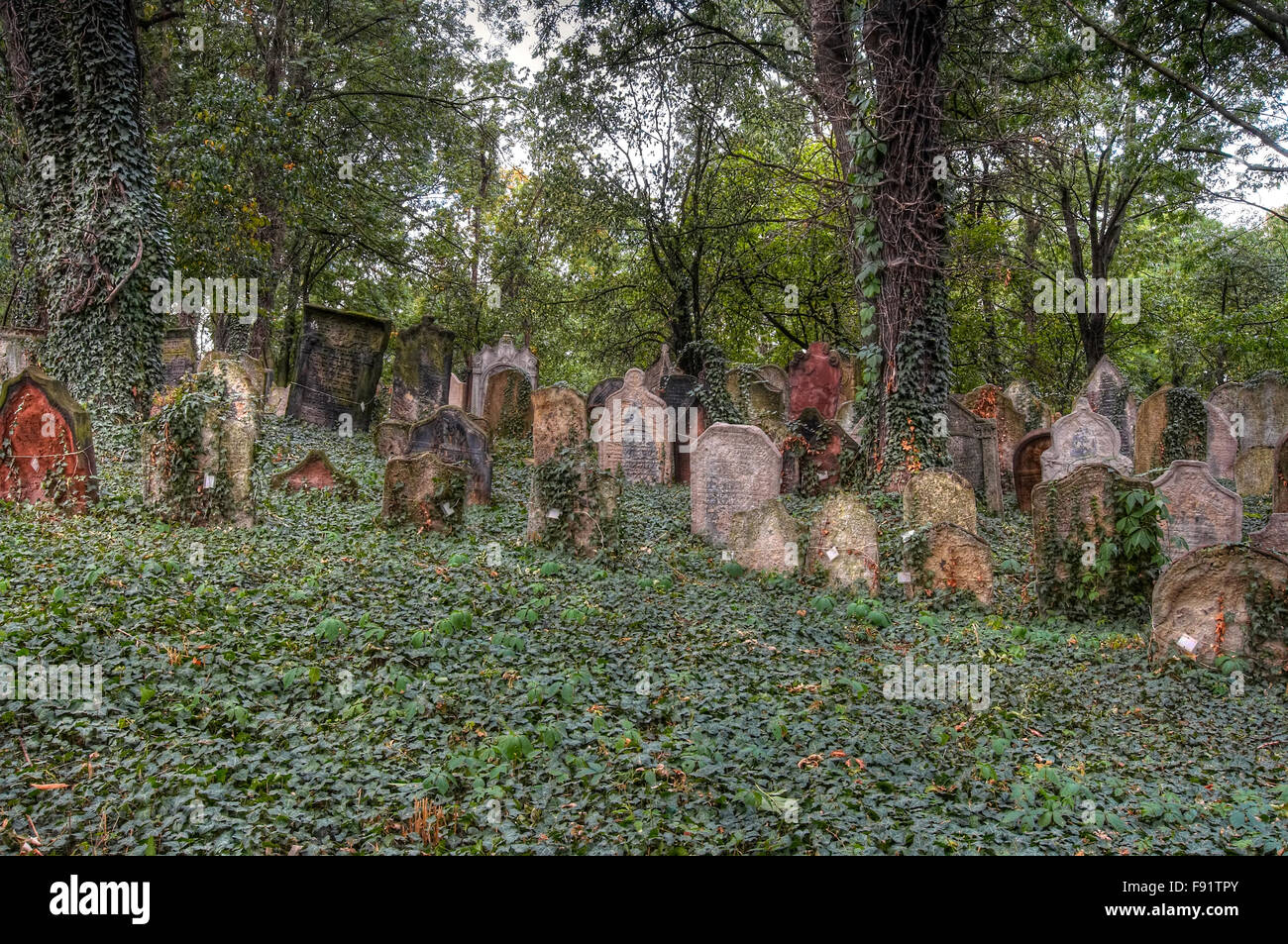 The Old Jewish cemetery at Kolin, Czech republic Stock Photo - Alamy