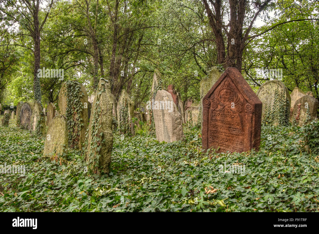 The Old Jewish cemetery at Kolin, Czech republic Stock Photo - Alamy