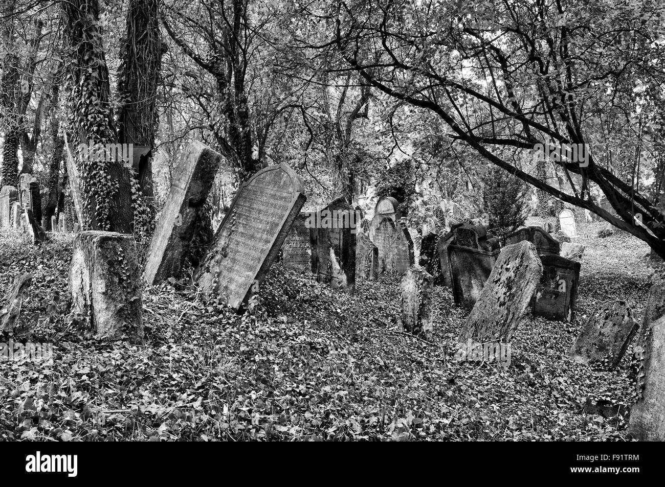 Traditional jewish burial Black and White Stock Photos & Images - Alamy