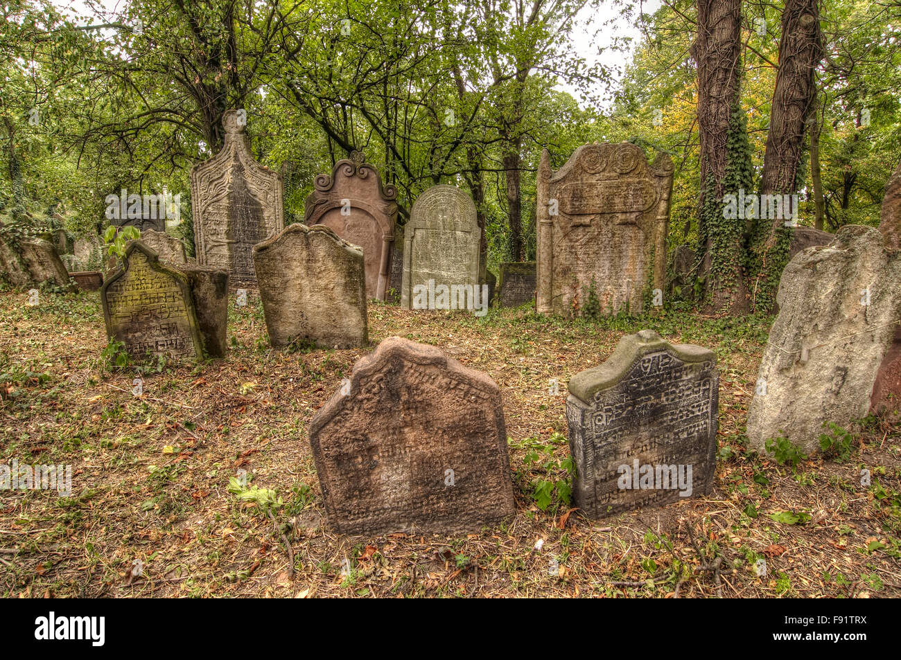 The Old Jewish cemetery at Kolin, Czech republic Stock Photo - Alamy