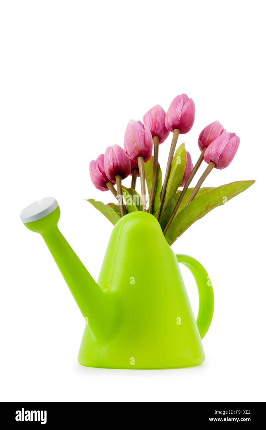 Gardening concept - Tulips and watering can Stock Photo - Alamy