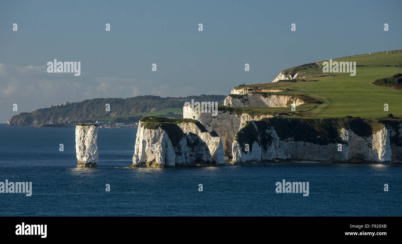 High chalk cliffs at Old Harry Rocks, Foreland Point, Dorset Stock ...