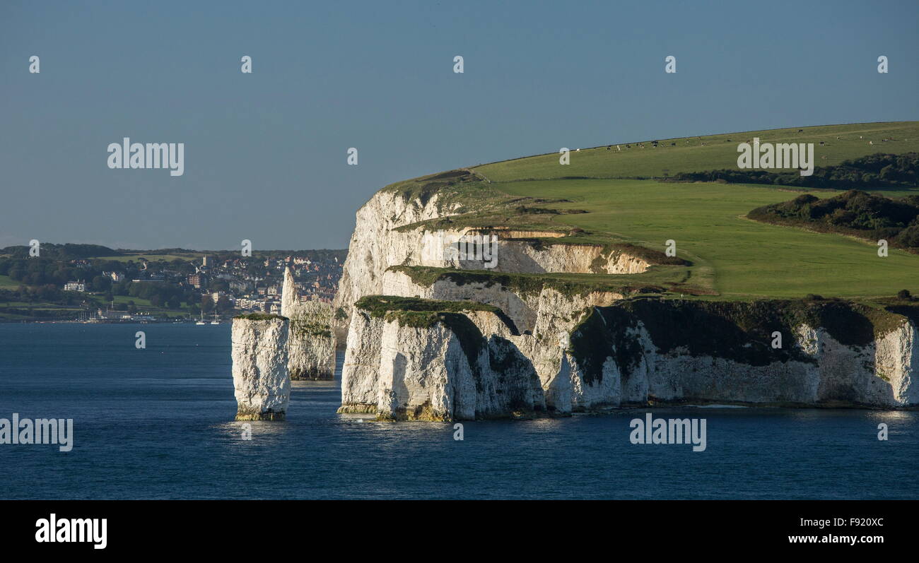 High chalk cliffs at Old Harry Rocks, Foreland Point, Dorset Stock ...