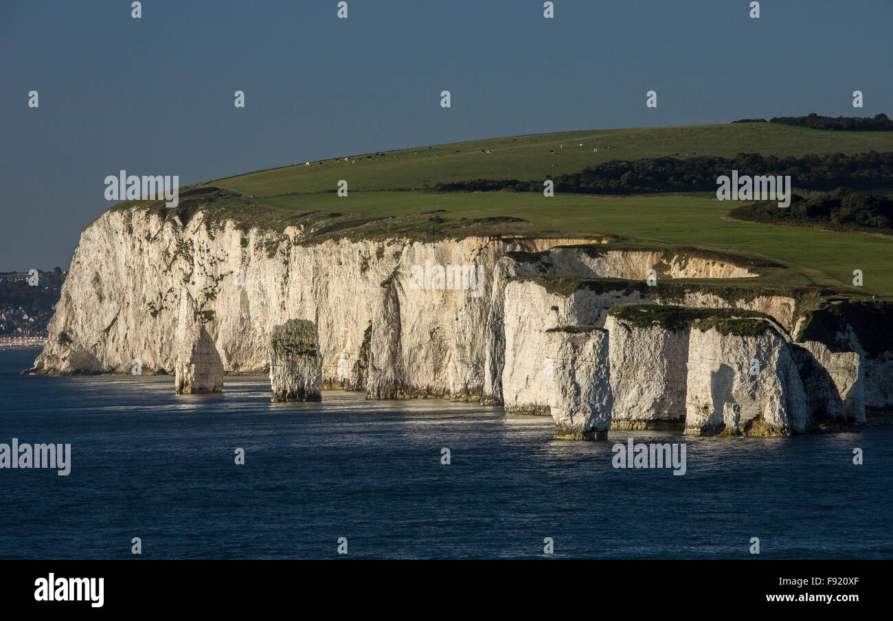 High chalk cliffs at Old Harry Rocks, Foreland Point, Dorset Stock ...