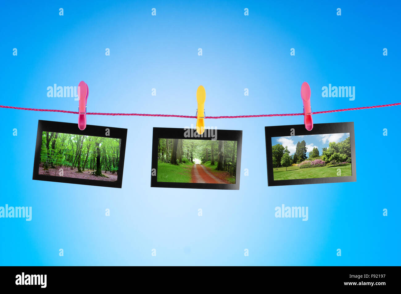 Picture frames with nature photos Stock Photo - Alamy