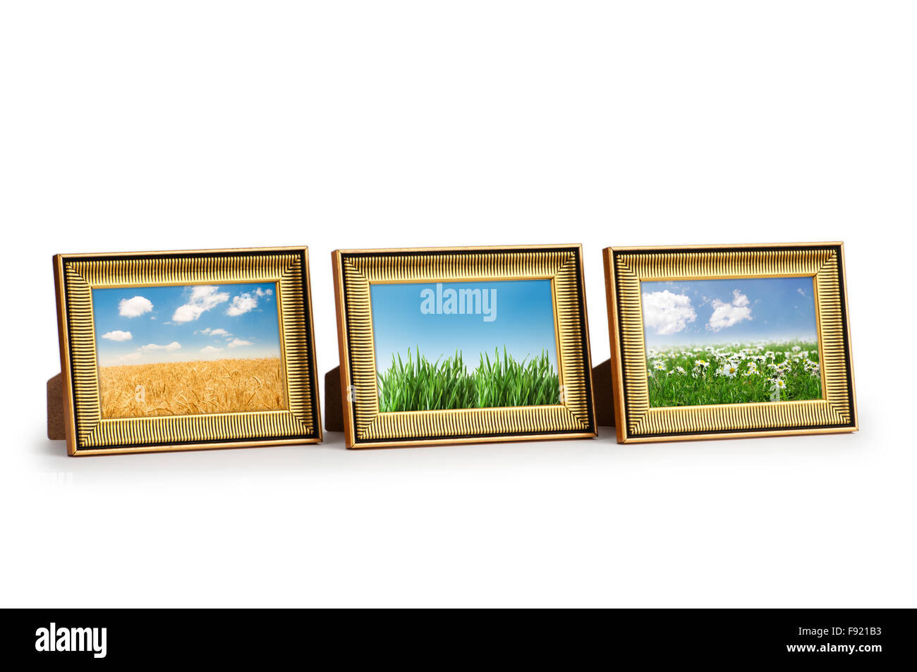 Picture frames with nature photos Stock Photo - Alamy