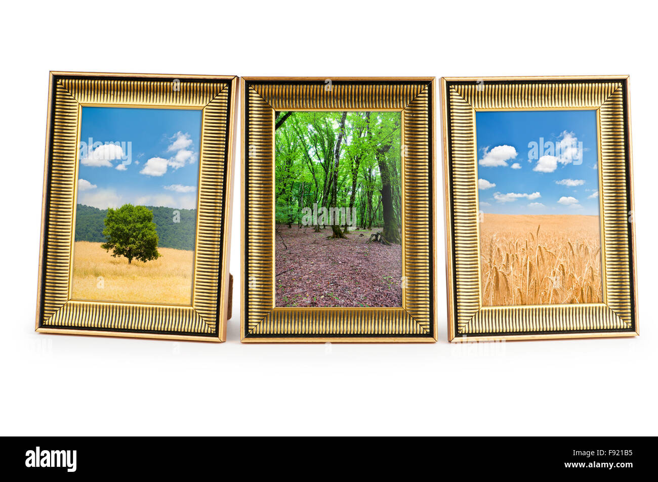 Picture frames with nature photos Stock Photo - Alamy