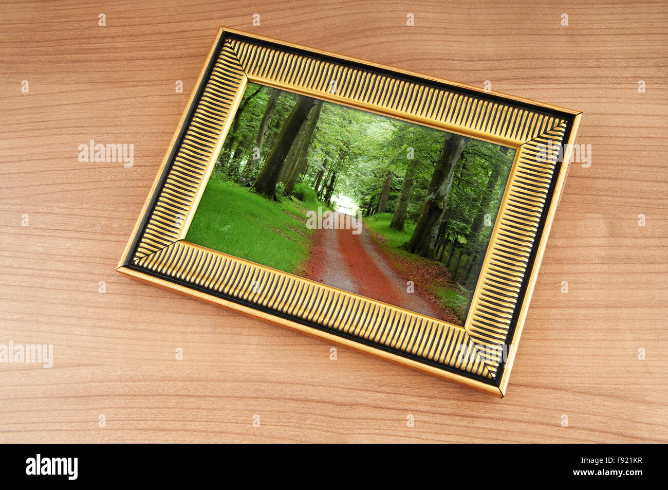 Forest on the picture frames Stock Photo - Alamy