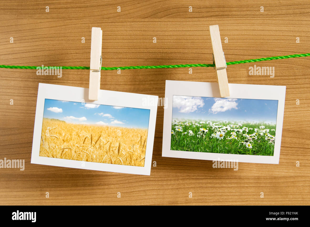 Picture frames with nature photos Stock Photo - Alamy