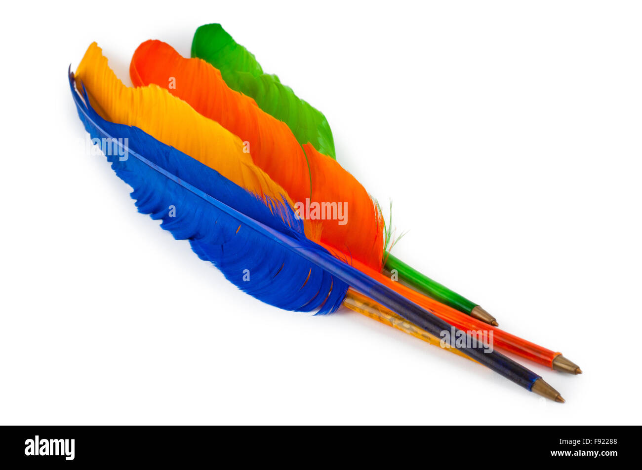Writing feather isolated on the white background Stock Photo - Alamy