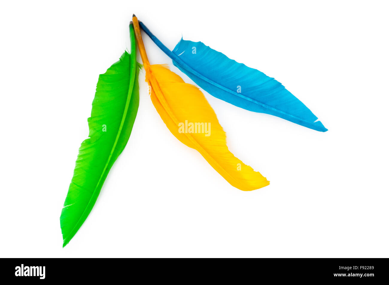 Writing feather isolated on the white background Stock Photo - Alamy