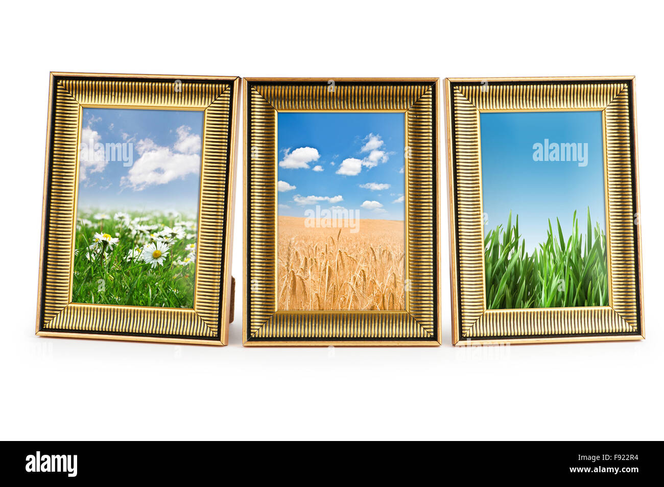 Picture frames with nature photos Stock Photo - Alamy