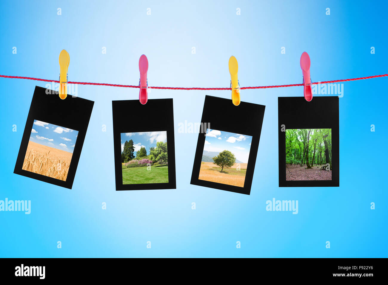 Picture frames with nature photos Stock Photo - Alamy