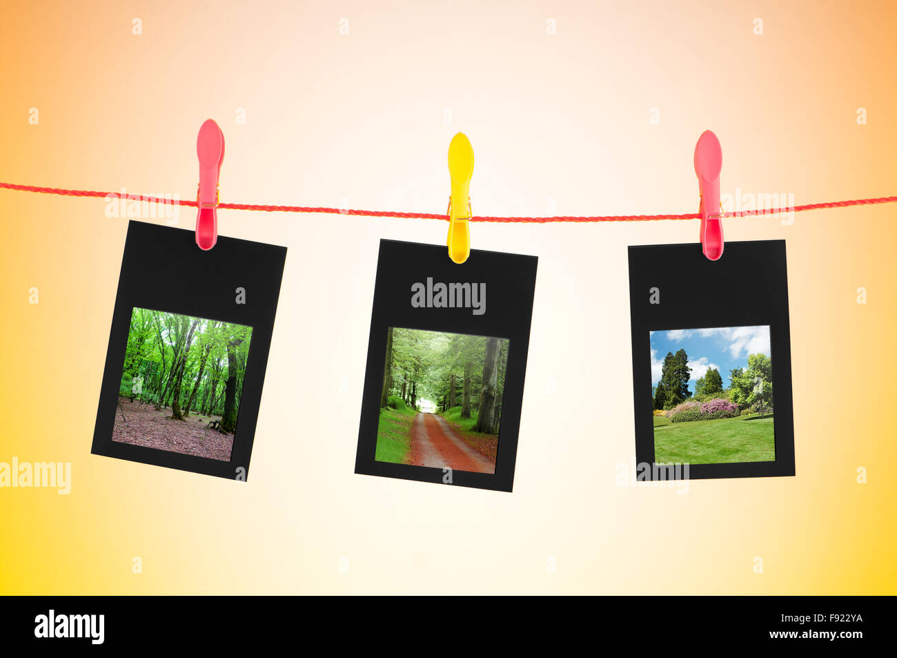 Picture frames with nature photos Stock Photo - Alamy