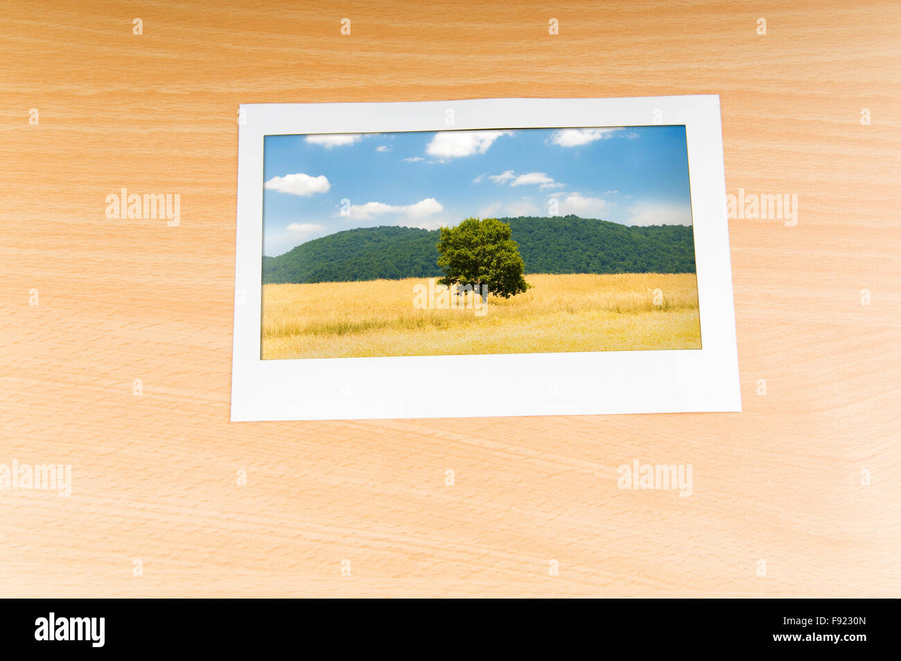 Picture frames with nature photos Stock Photo - Alamy