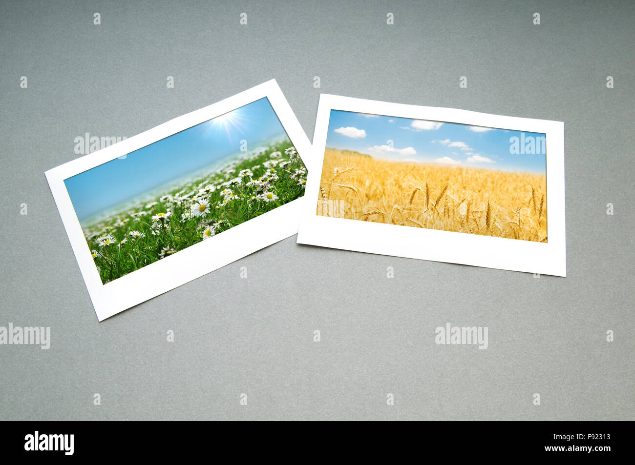 Picture frames with nature photos Stock Photo - Alamy