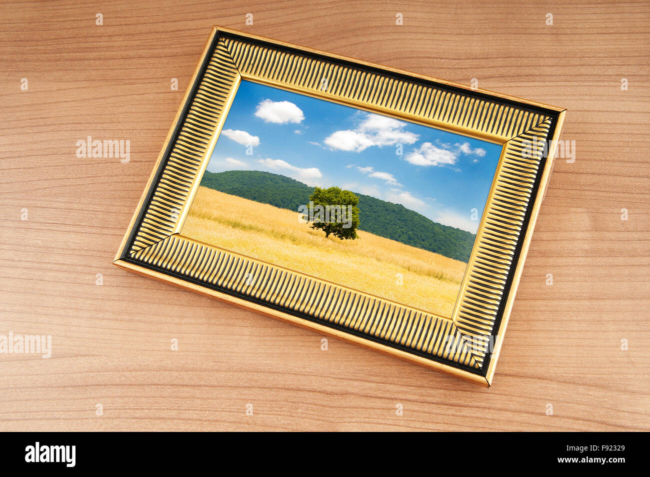 Picture frames with nature photos Stock Photo - Alamy