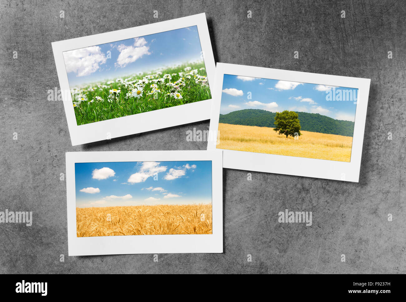 Picture frames with nature photos Stock Photo - Alamy