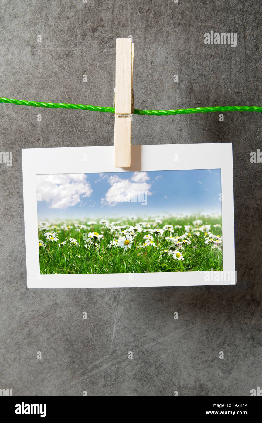 Picture frames with nature photos Stock Photo - Alamy