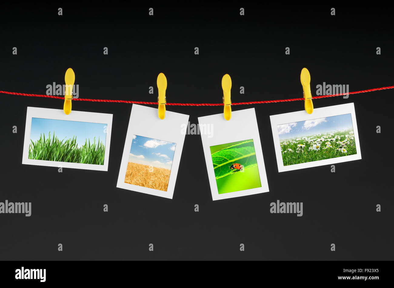 Various nature photos hanging Stock Photo - Alamy