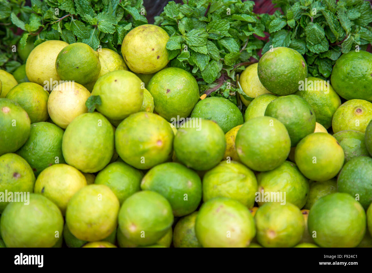 Lime and mint on the market in Mumbai, India Stock Photo - Alamy