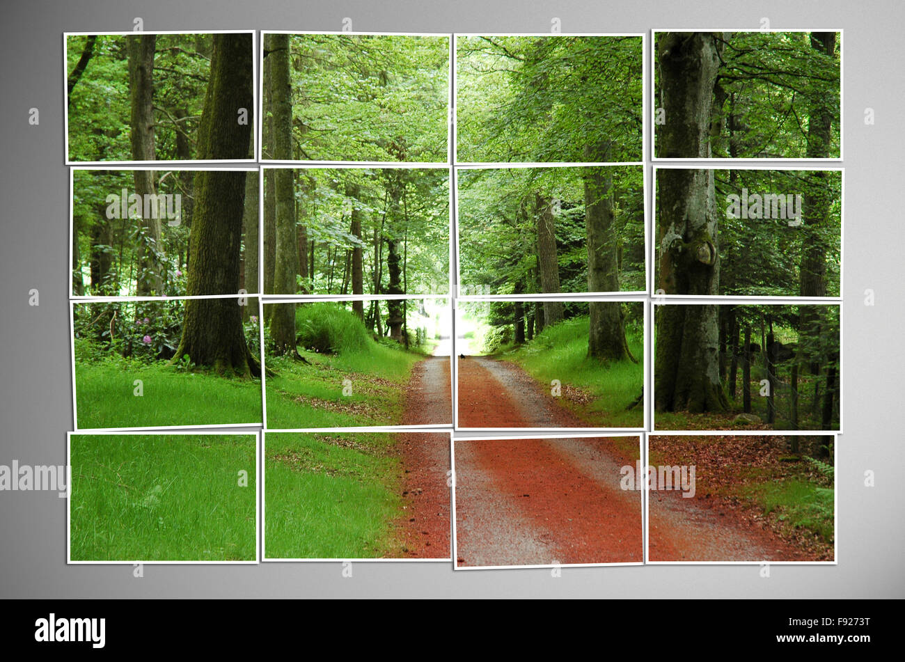 Photo cut into pieces with nature concept Stock Photo - Alamy
