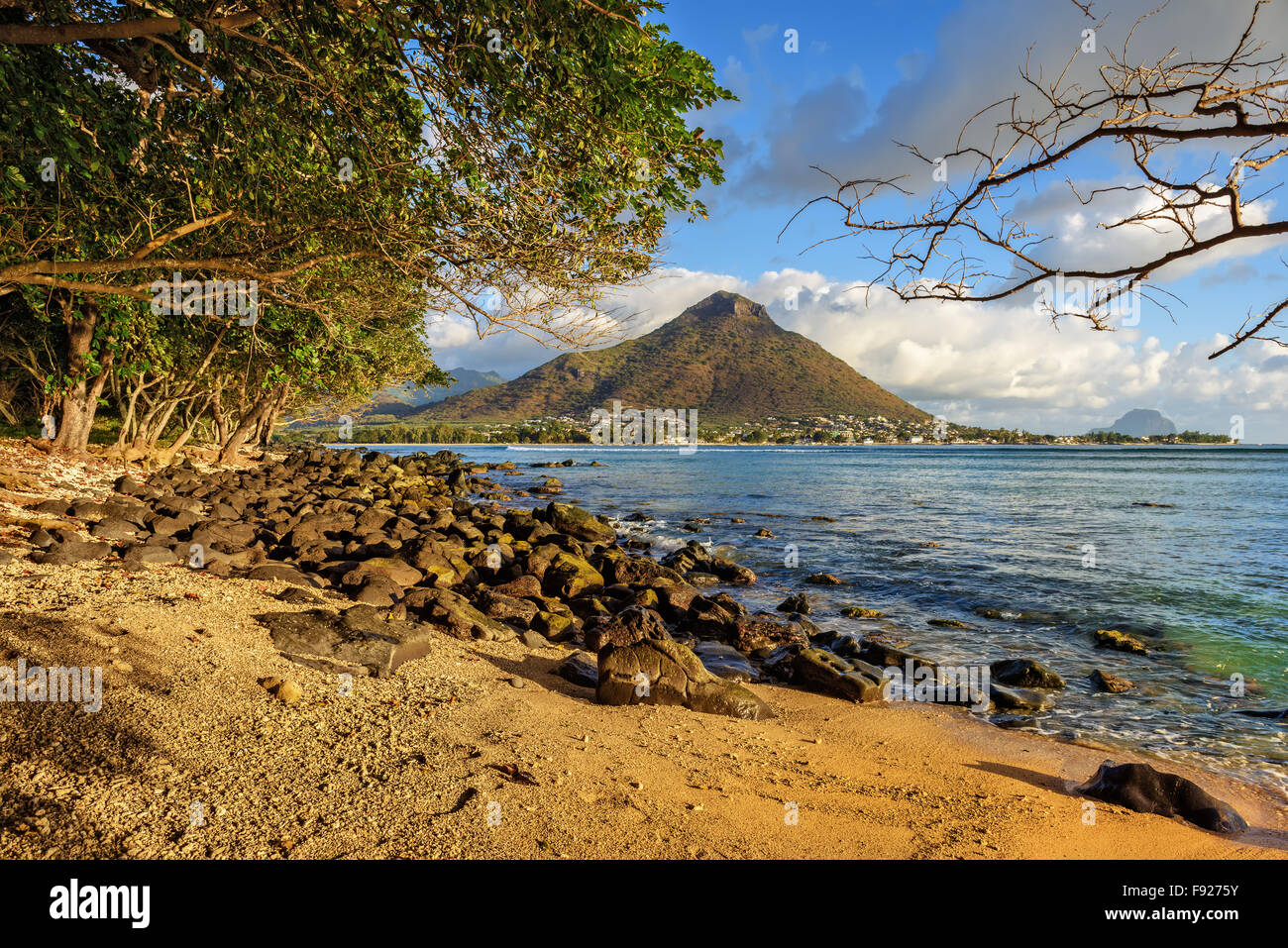 Montagne de tamarin hi-res stock photography and images - Alamy