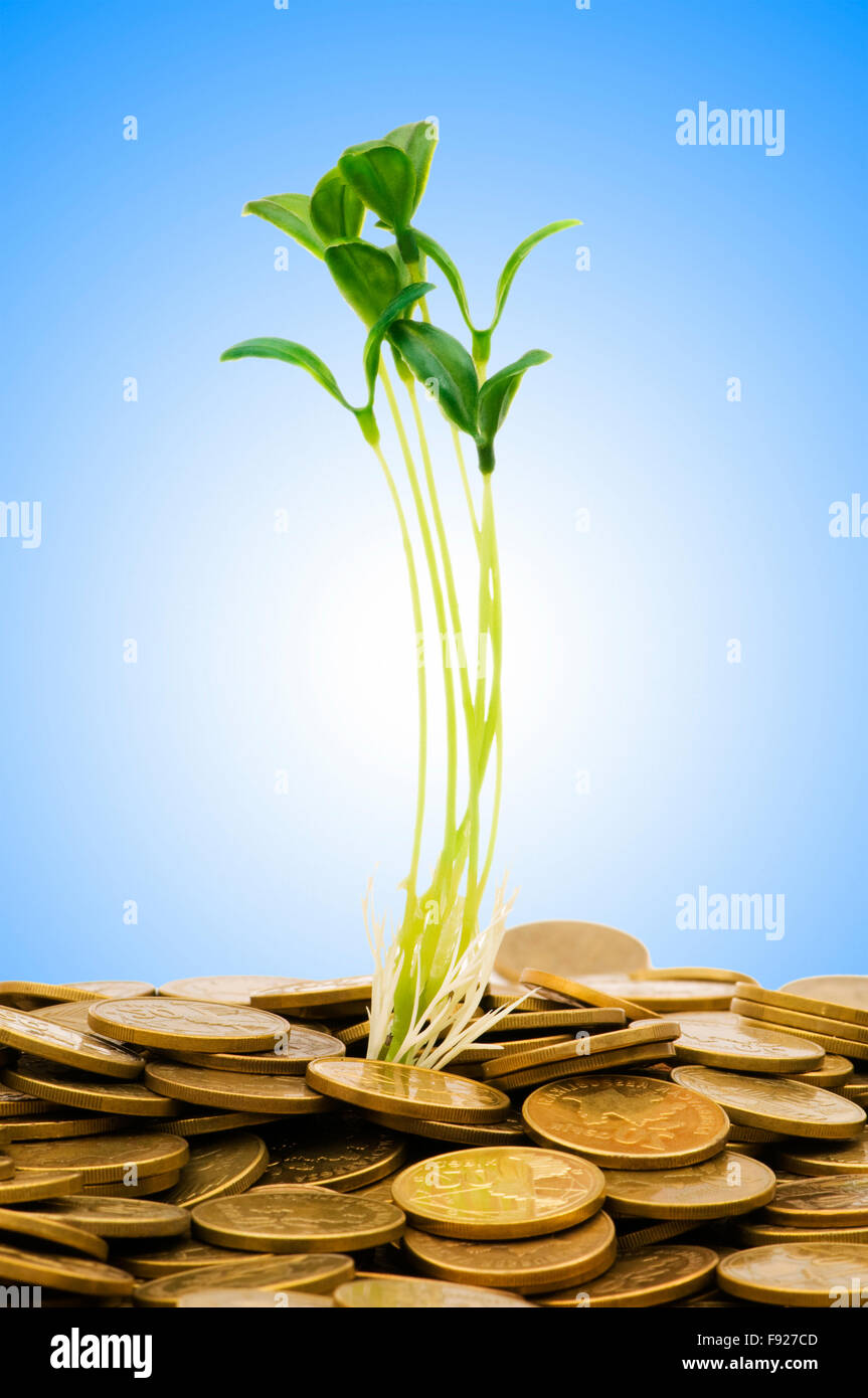 Money growth concept with coins and seedling Stock Photo - Alamy