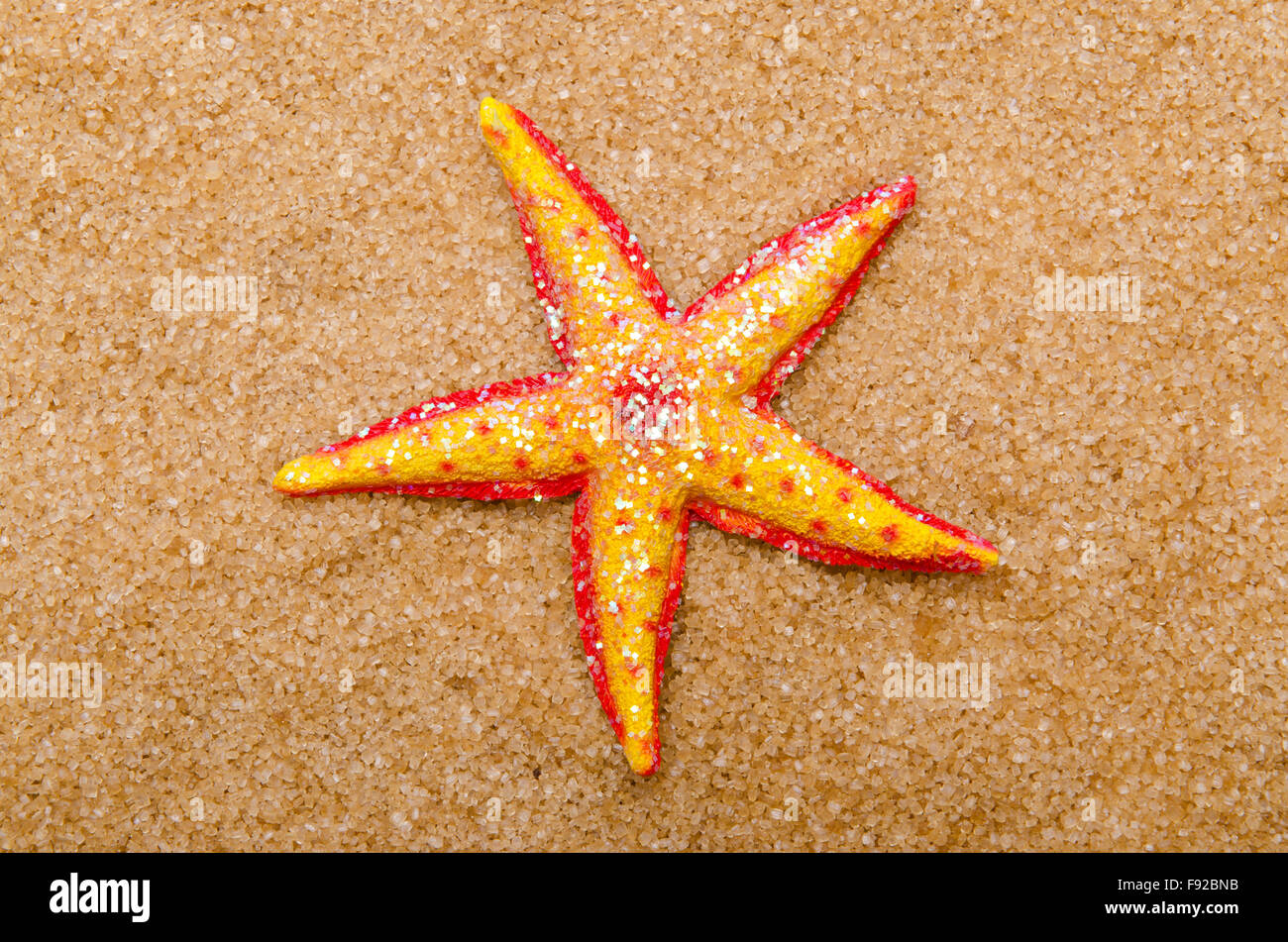 Sea stars on the sand Stock Photo - Alamy