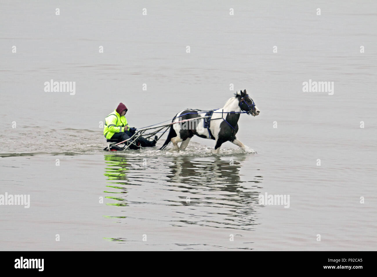 Gypsy sulki hi-res stock photography and images - Alamy