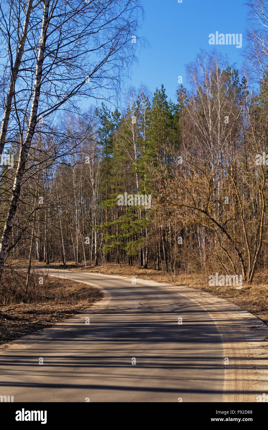 Spring sunny asphalt road Stock Photo - Alamy