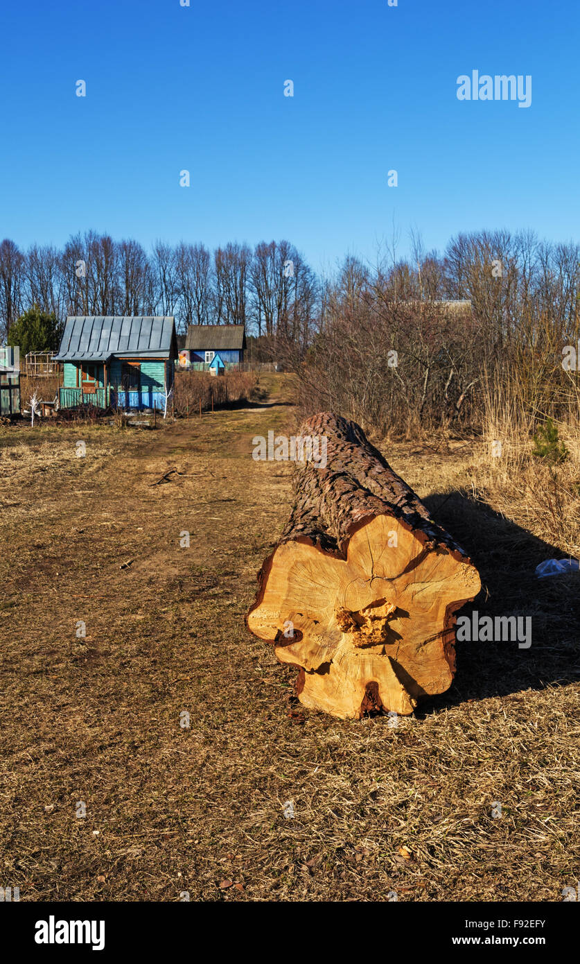 Cutting down tree in village Stock Photo - Alamy