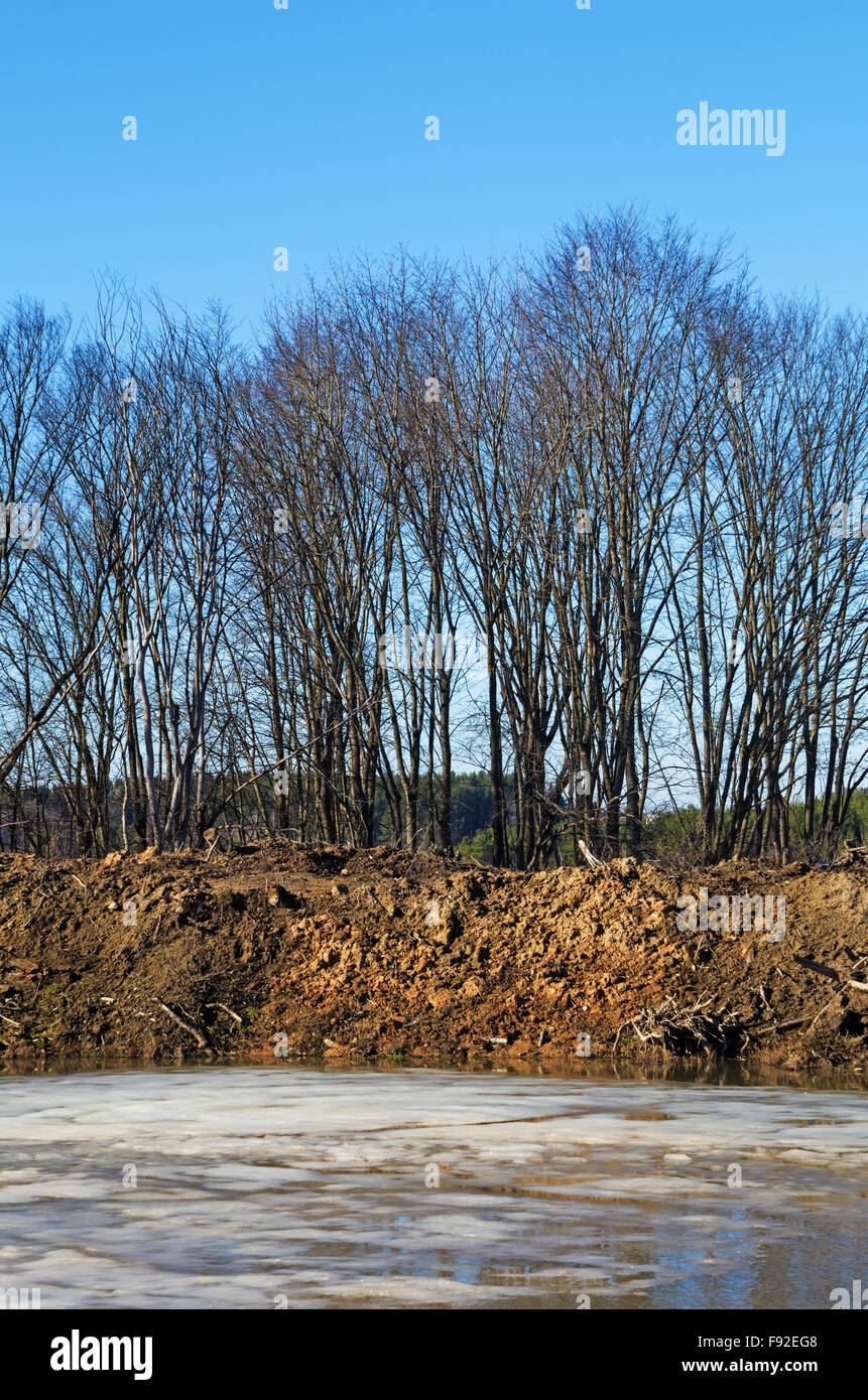 Spring landscape with water, ice and trees Stock Photo - Alamy